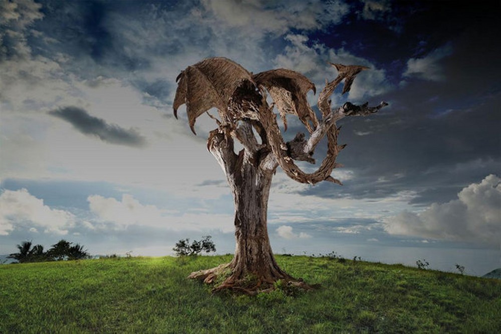 Philippine Drift Wood Sculpture: Giving New Life to Nature's Castaways ...